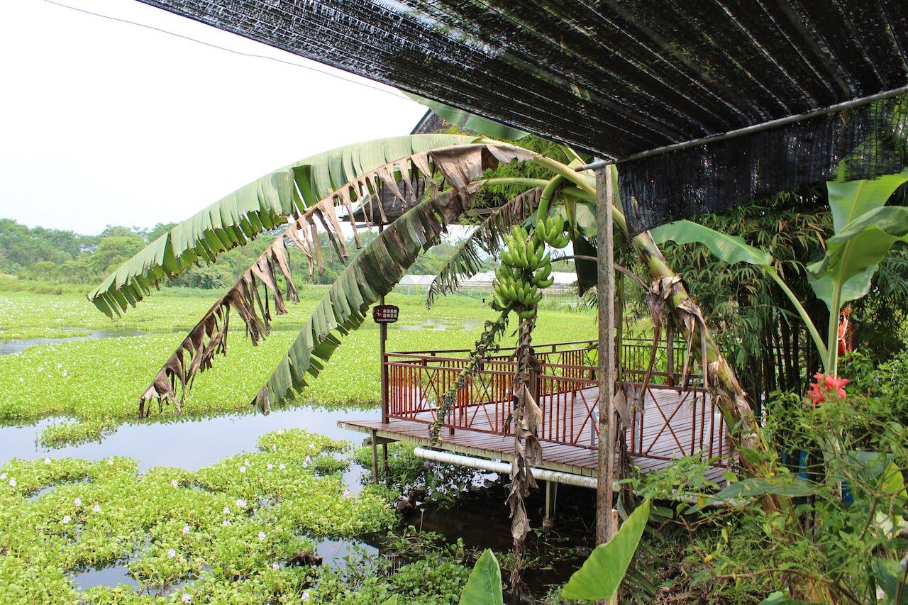 【マレーシア】ジャングルの中にある野菜農園と見晴らしのよいカフェ | 地球の歩き方